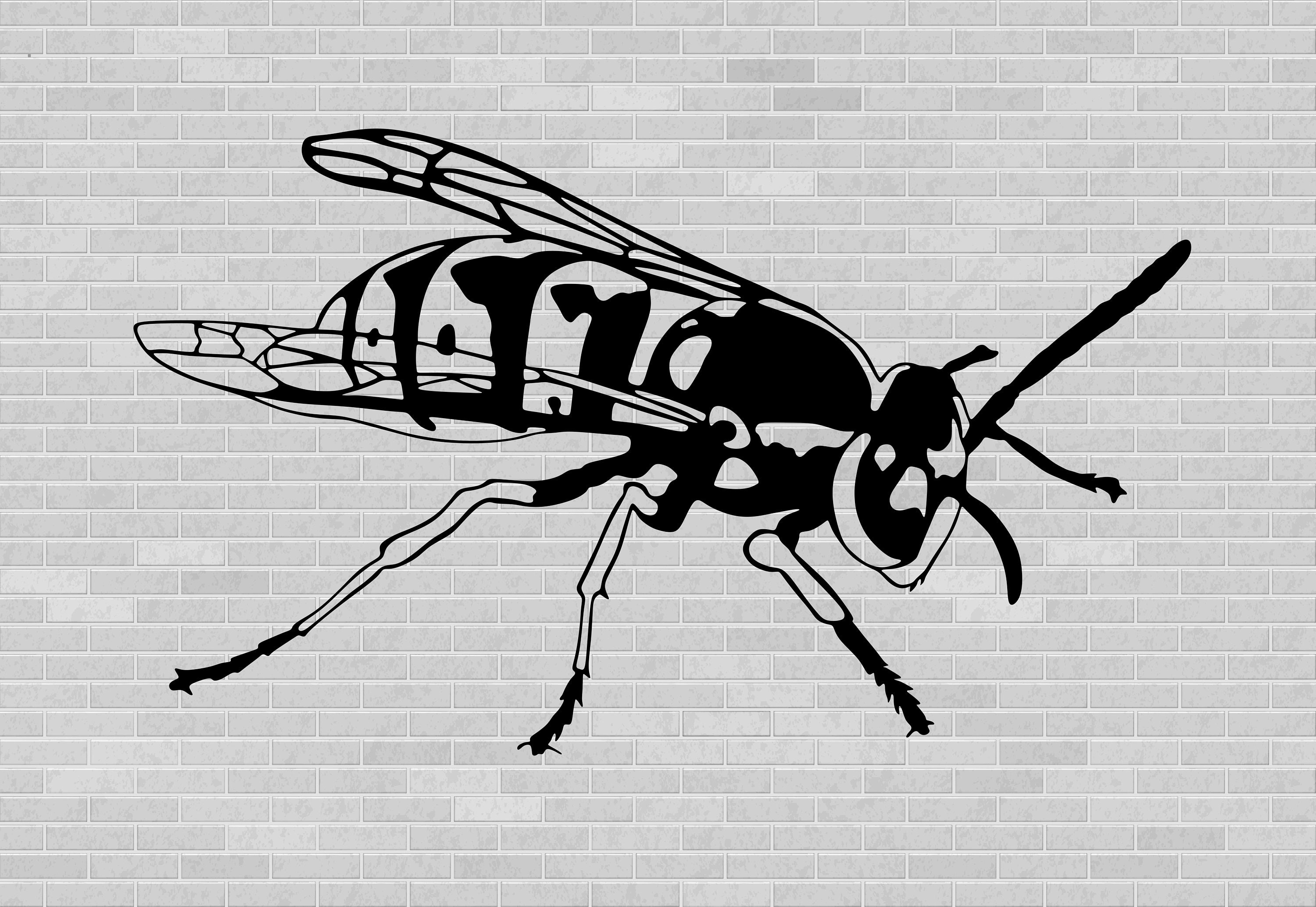 Wasp Clip Art Wasp Svg Insect Svg Svg for Cricut Summer | Etsy