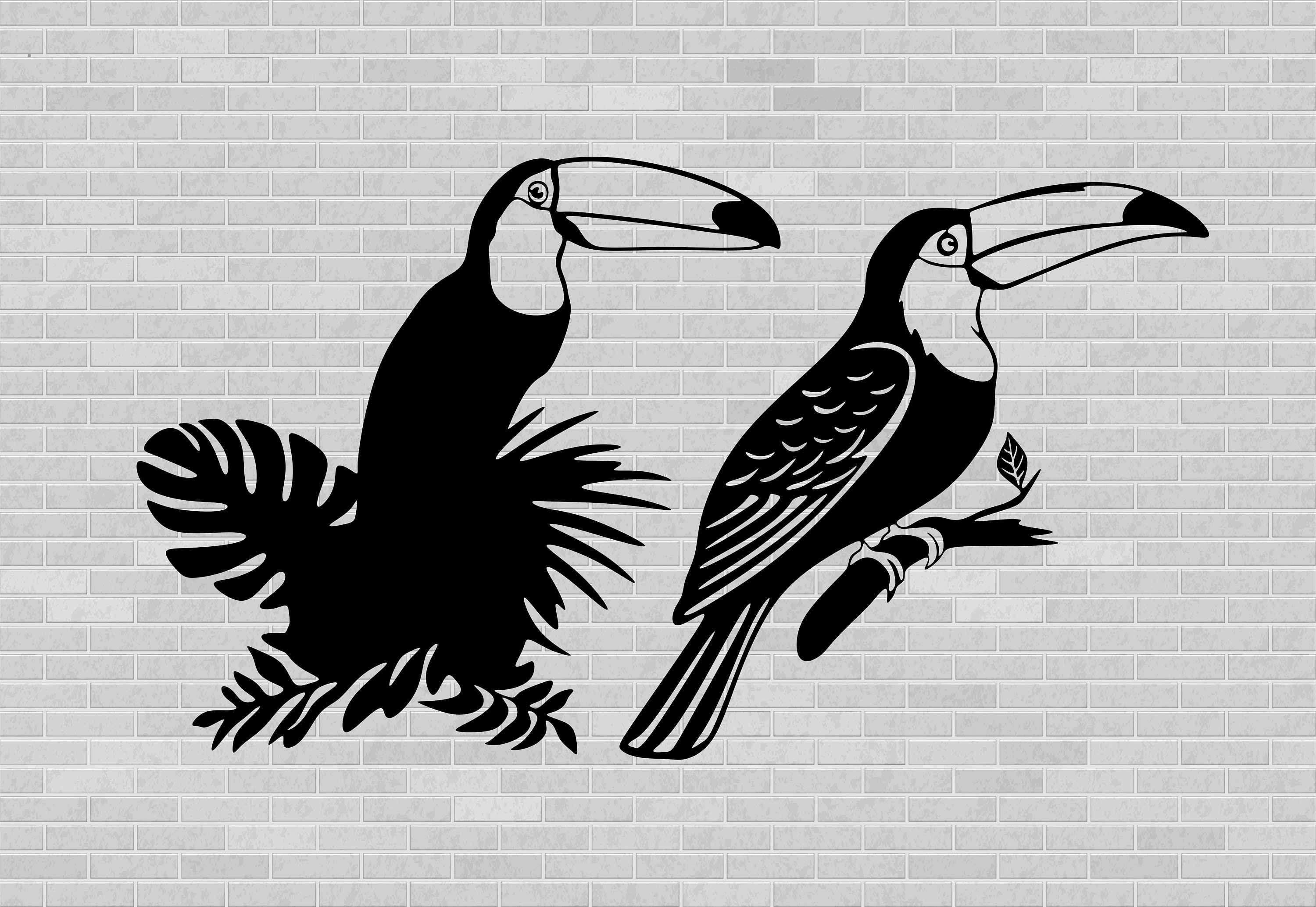 Vector de pájaro tucán tucán svg archivos de corte de aves | Etsy