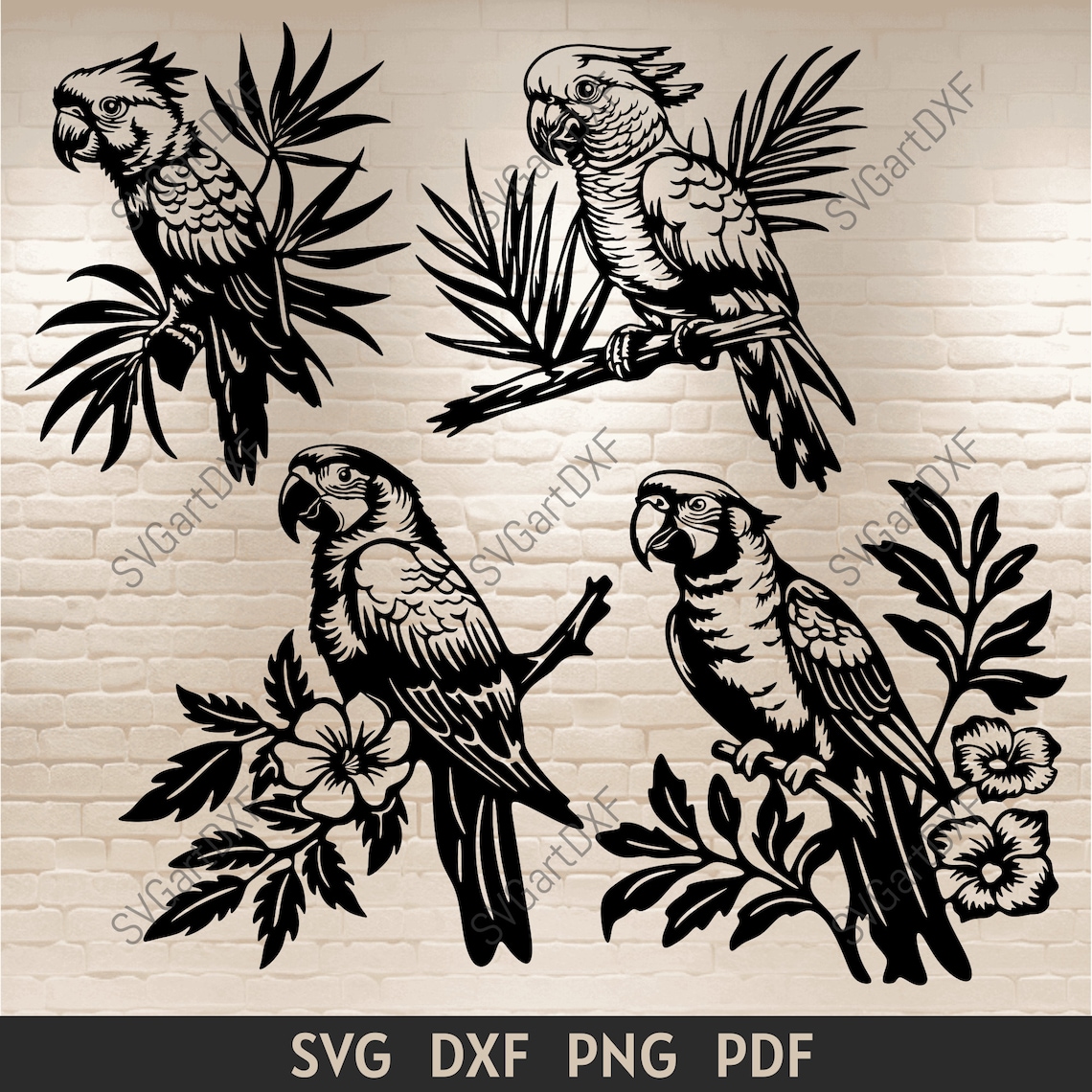 Parrots Svg Files for Cricut, Parrot Dxf for Cnc Laser Cut, Parrot ...