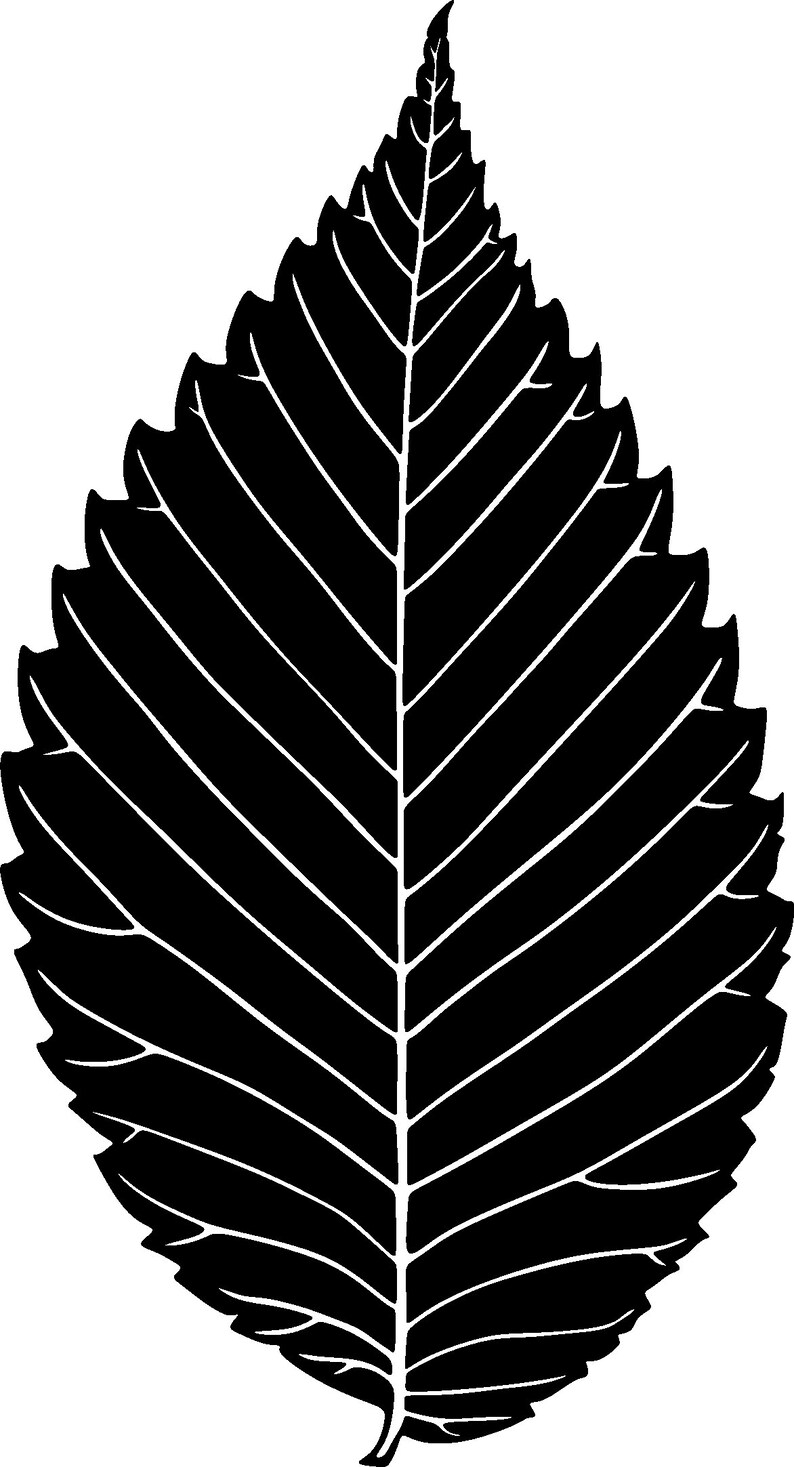 Leaves svg leaf svg files for cricut dxf files for cnc | Etsy