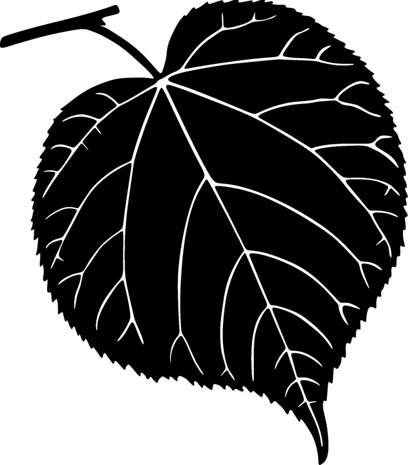 Leaves svg leaf svg files for cricut dxf files for cnc | Etsy