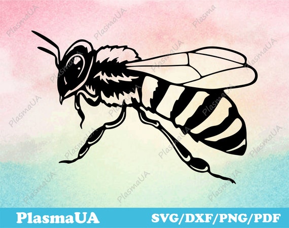 Bee Svg File Vector Files Cricut Files Insect Svg Cut File | Etsy