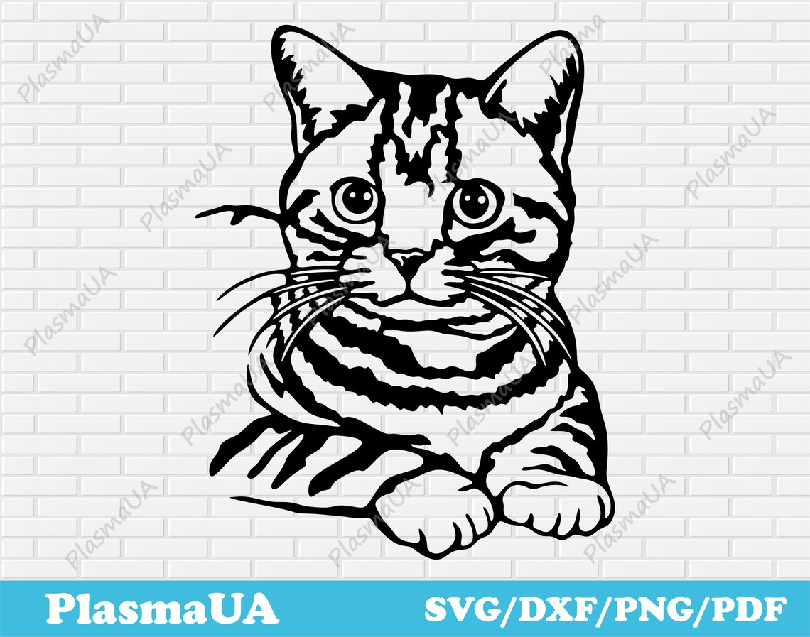 Cat Svg Download Cat Svg Cut Files for Cricut Pet Svg Image - Etsy