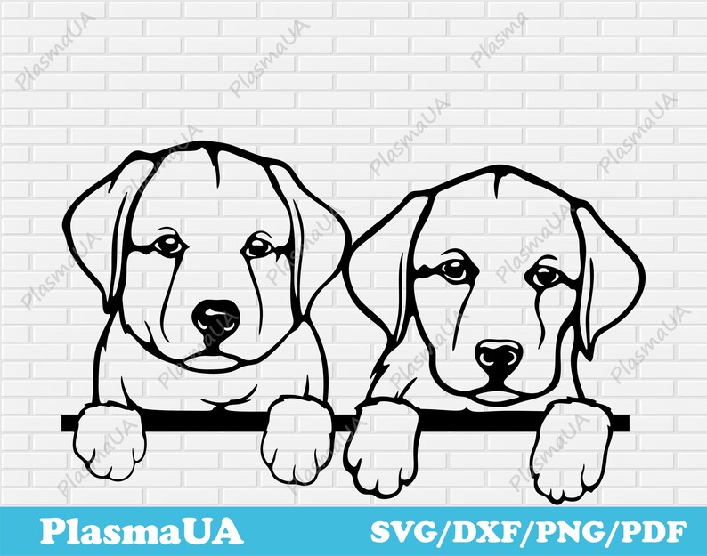 Cute Dogs Cut Files for Cricut T-shirt Design Puppy Dogs Svg - Etsy