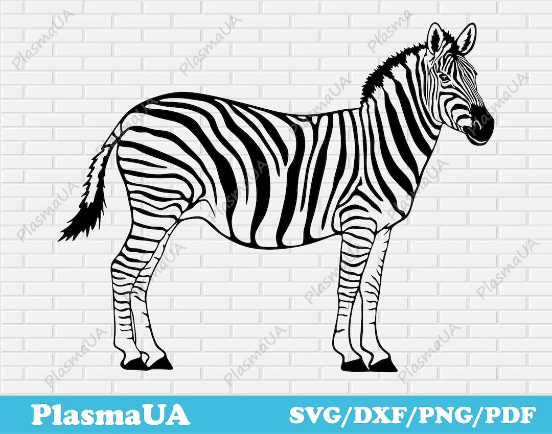 Zebra Cut File, Zebra Png, Zebra for Cricut, Laser Cutting Files, Laser ...