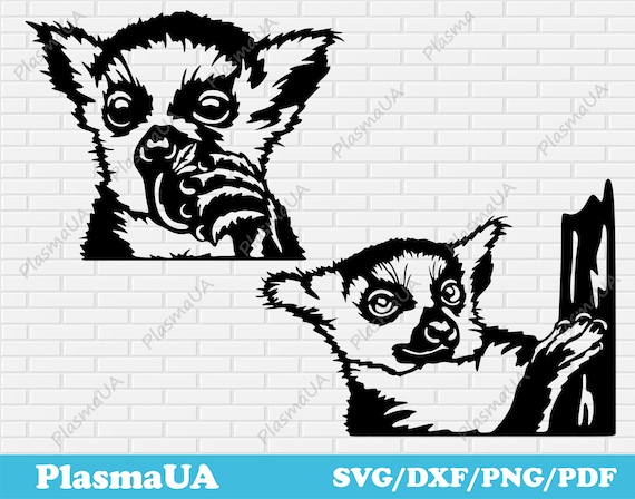Lemur Svg Files for Cricut Cute Animals Svg Dxf Cutting | Etsy