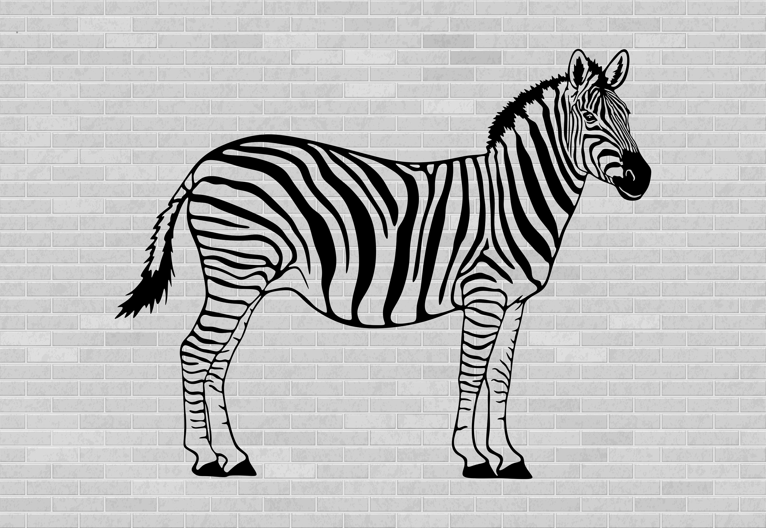 Zebra cut file zebra png zebra for cricut laser cutting | Etsy