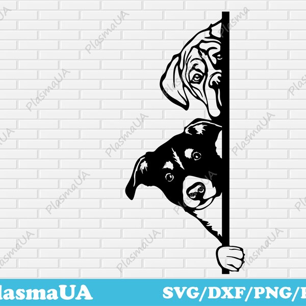 Peeking Lab Svg - Etsy