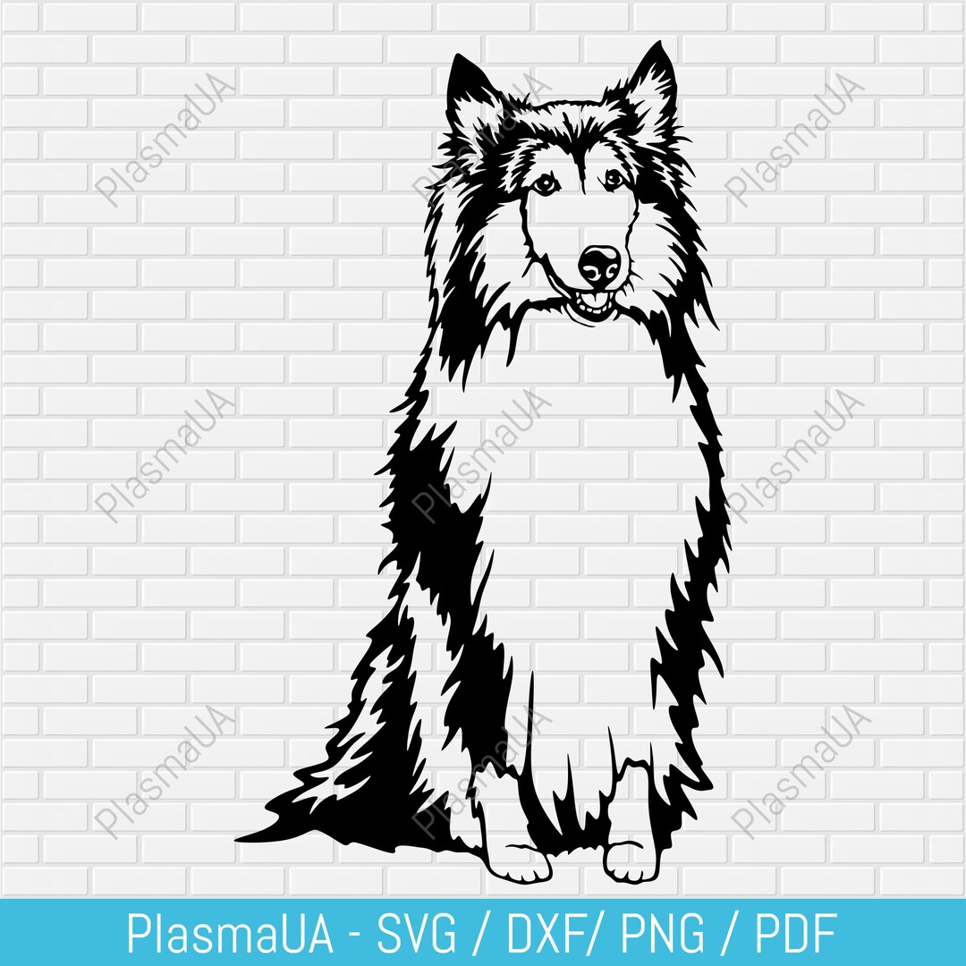 Collie Dog Svg, Collie for Cricut, Dog Dxf Files, Pet Svg Image, Cnc ...