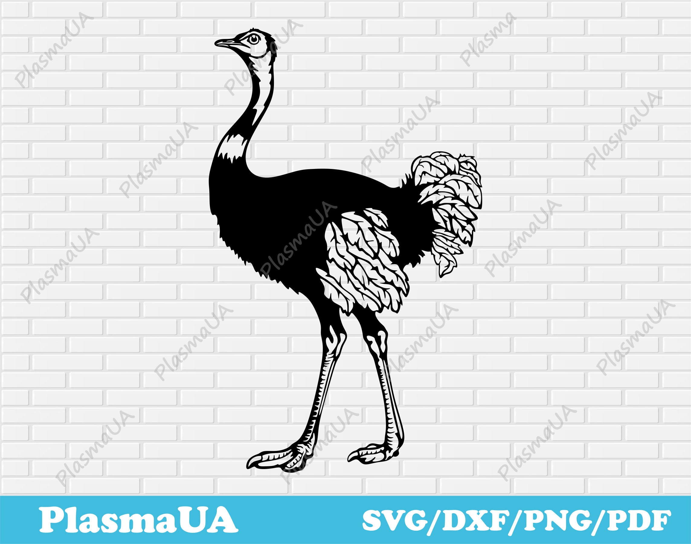 Ostrich Png Clipart Svg Farm Animal Svg Svg Cutting File - Etsy