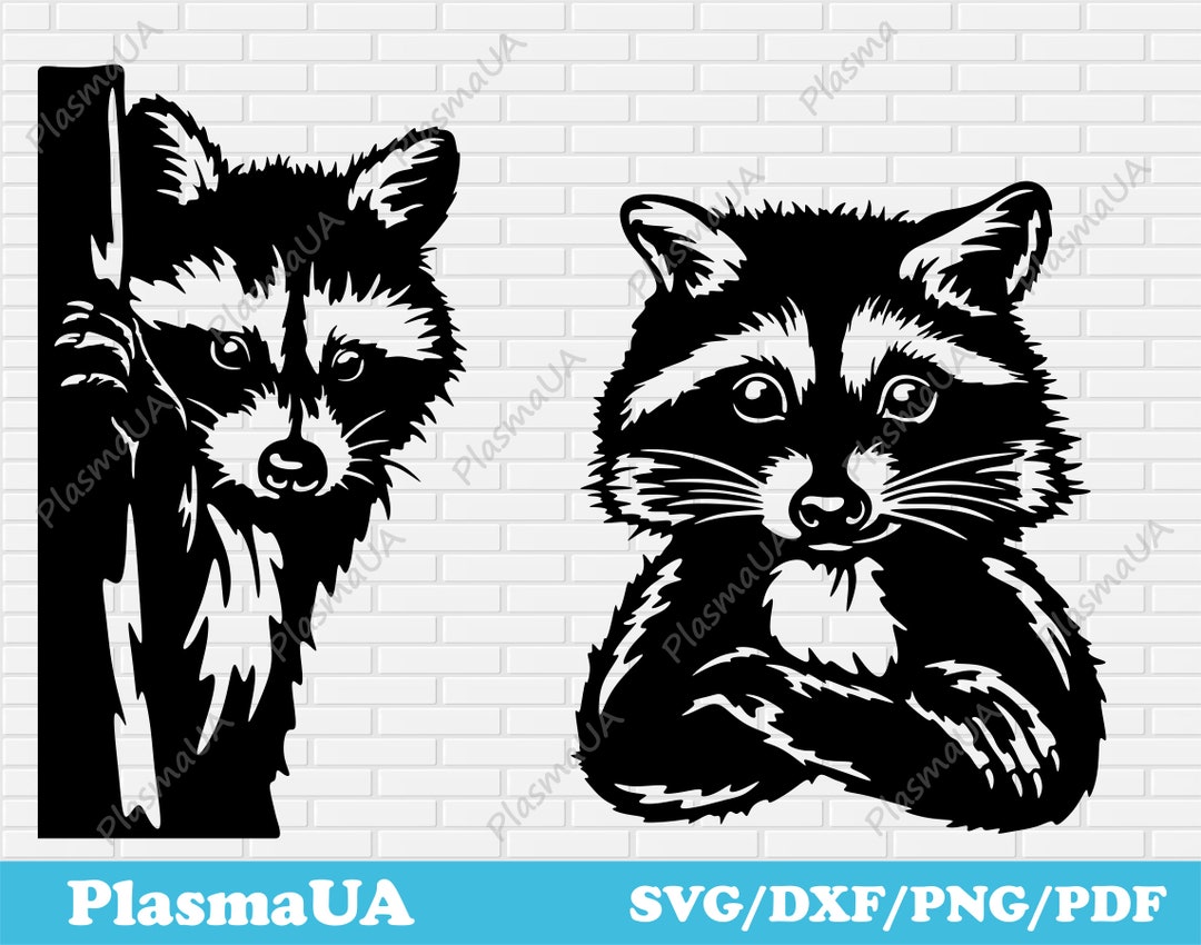 Raccoon Svg Animals for Cricut Funny Animal Svg Cricut Svg - Etsy