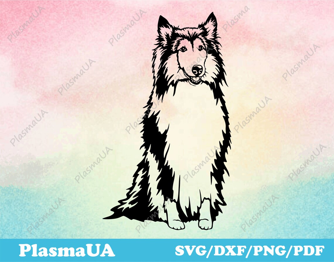 Collie Dog Svg Collie for Cricut Dog Dxf Files Pet Svg | Etsy