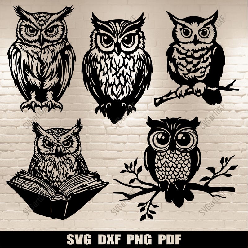 Owl Svg - Etsy