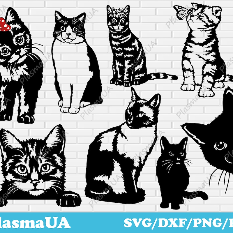 Funny Cat Svg - Etsy