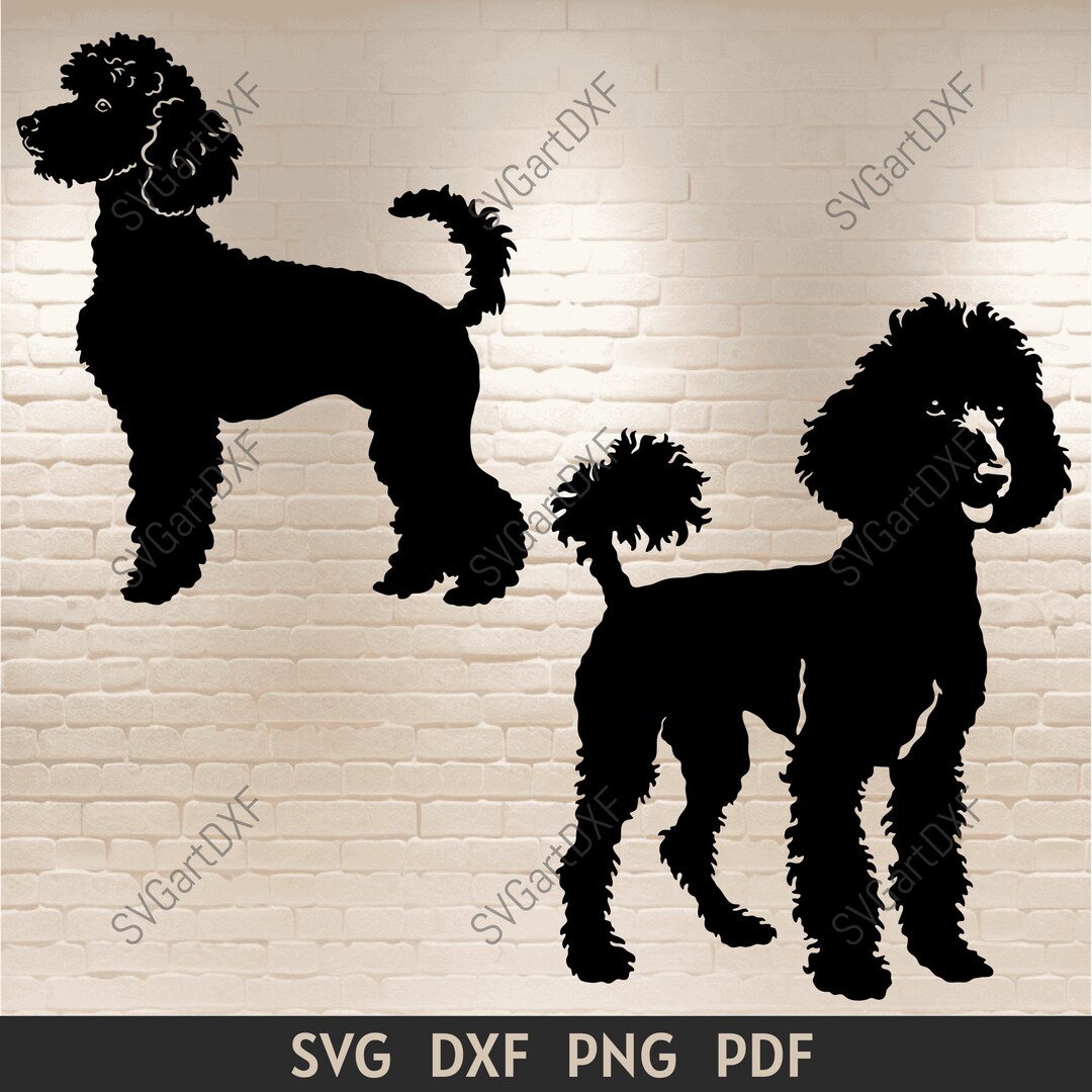 French Poodle Svg, Cut Files for Cricut, Cutting Files, Dxf for Laser ...