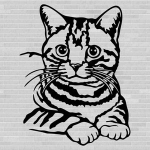 Cat Svg Download Cat Svg Cut Files for Cricut Pet Svg Image | Etsy