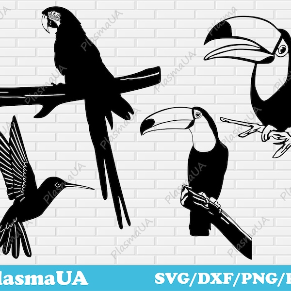 Parrot Dxf Files - Etsy