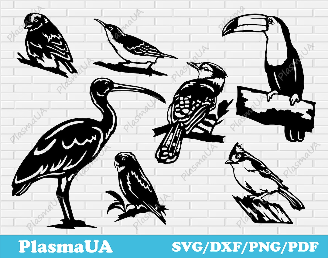 Birds Svg Cut Files for Cricut, Birds Dxf for Laser Cut, Blue Jay ...