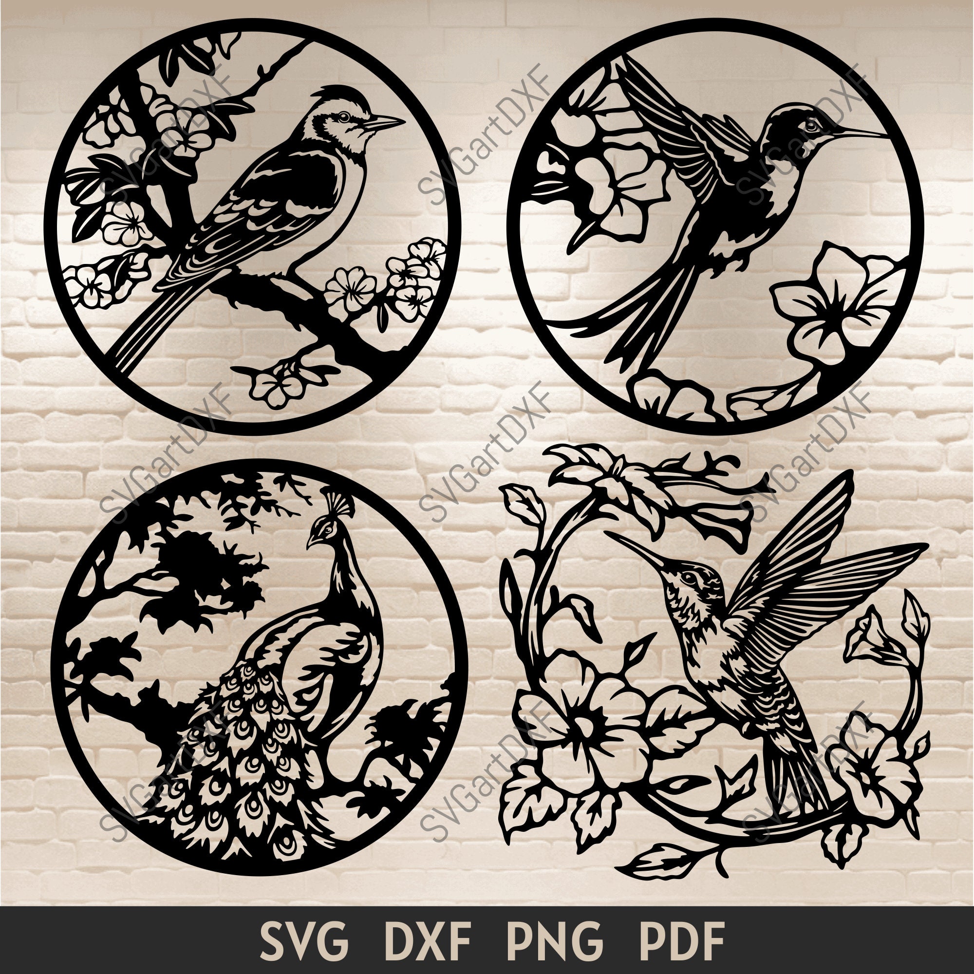 Birds Svg Cut Files for Cricut, Hummingbird Svg Files, Peacock Svg ...
