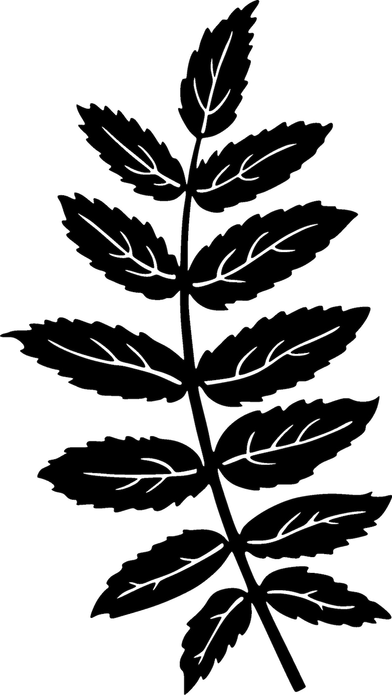 Leaves svg leaf svg files for cricut dxf files for cnc | Etsy