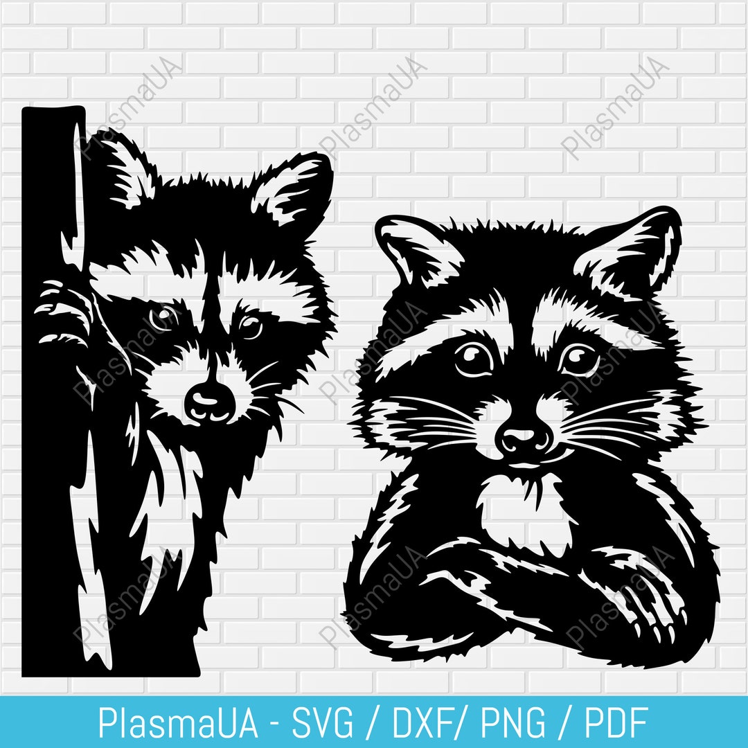 Mapache svg, animales para cricut, divertido animal svg, cricut svg ...