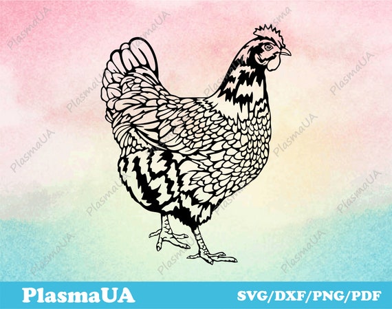 Chicken Svg files for cricut,Chicken for Shirt,Chicken Png,Chicken Cut ...