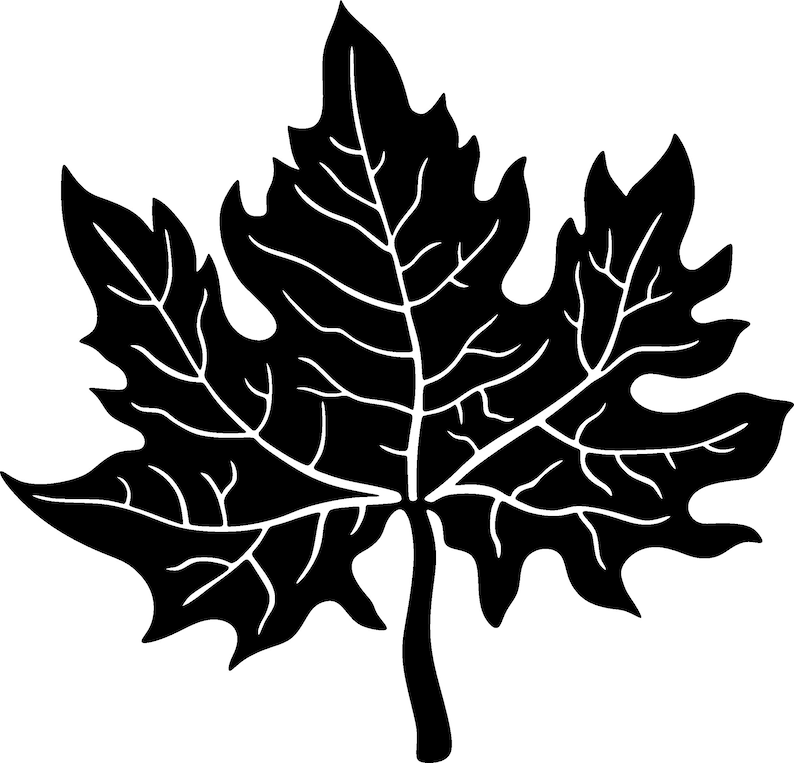 Leaves svg leaf svg files for cricut dxf files for cnc | Etsy