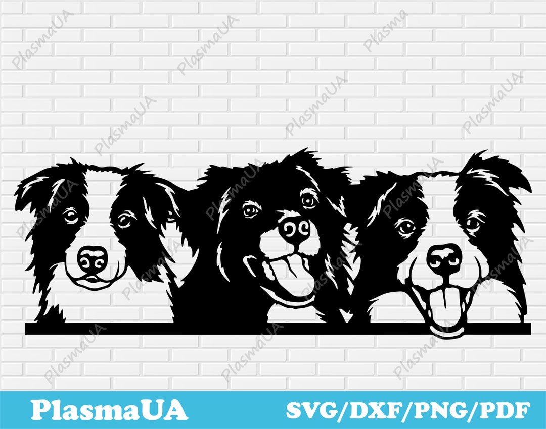 Peeking Dogs Svg for Cricut, Border Collie Svg, Pets Portraits Dxf ...