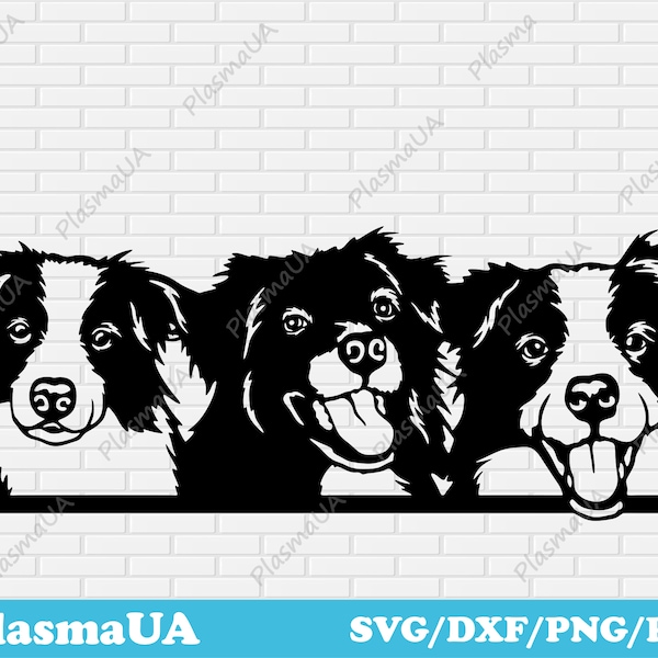 Peeking Lab Svg - Etsy