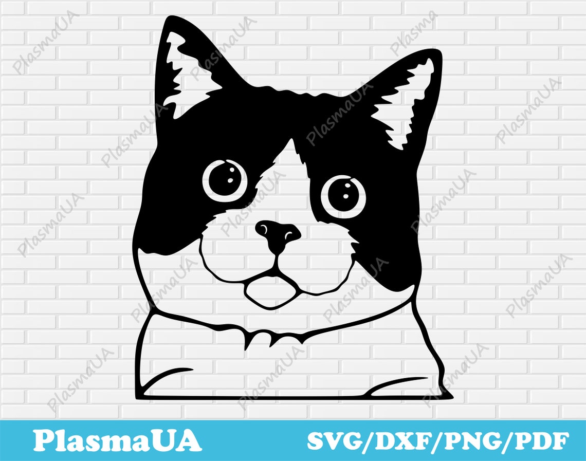 Cat Svg Cat Clipart Cat Cut File Funny Cat Svg Cute Cat - Etsy