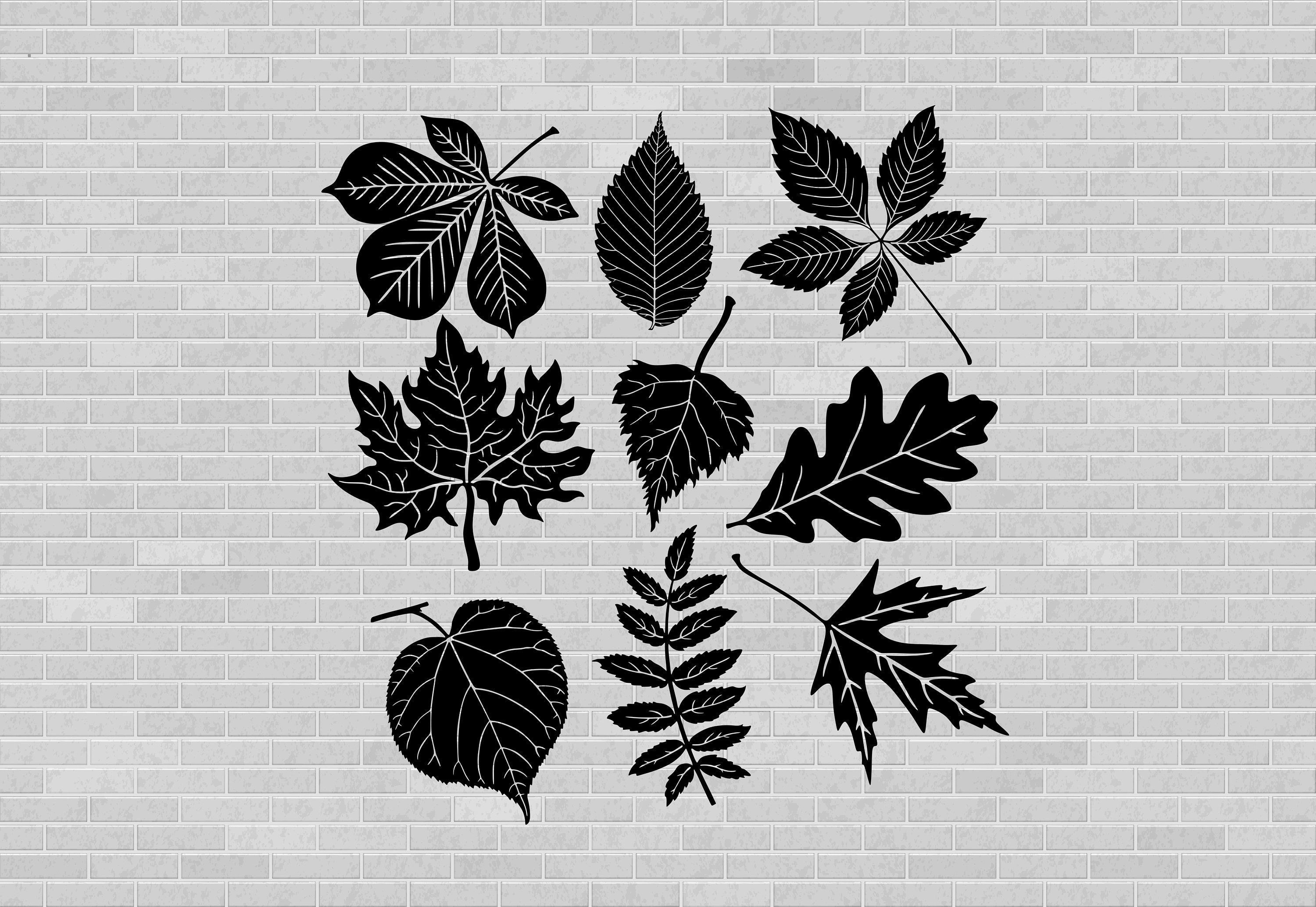 Hojas svg hoja svg archivos para cricut archivos dxf para | Etsy España