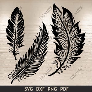 Feathers SVG, Feather Clipart Png, Cut Files for Cricut, Silhouette ...