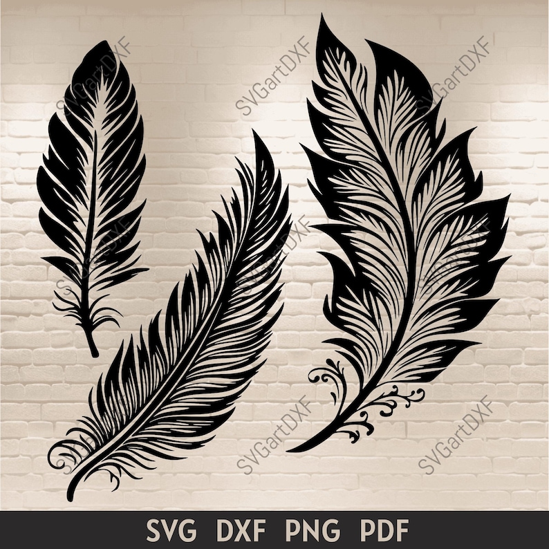 Feathers SVG, Feather Clipart Png, Cut Files for Cricut, Silhouette ...