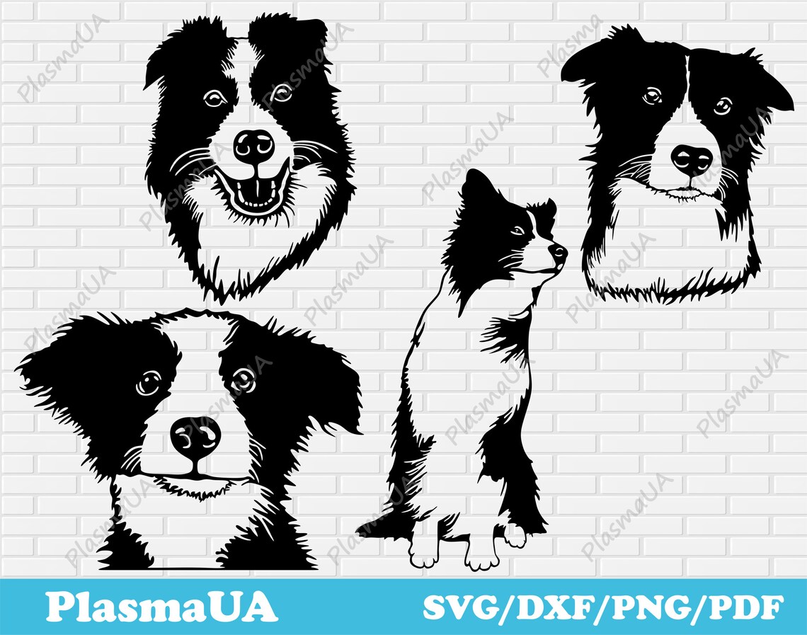 Border Collie Svg Dog Svg Dxf Dog Dxf Files for Laser Svg - Etsy