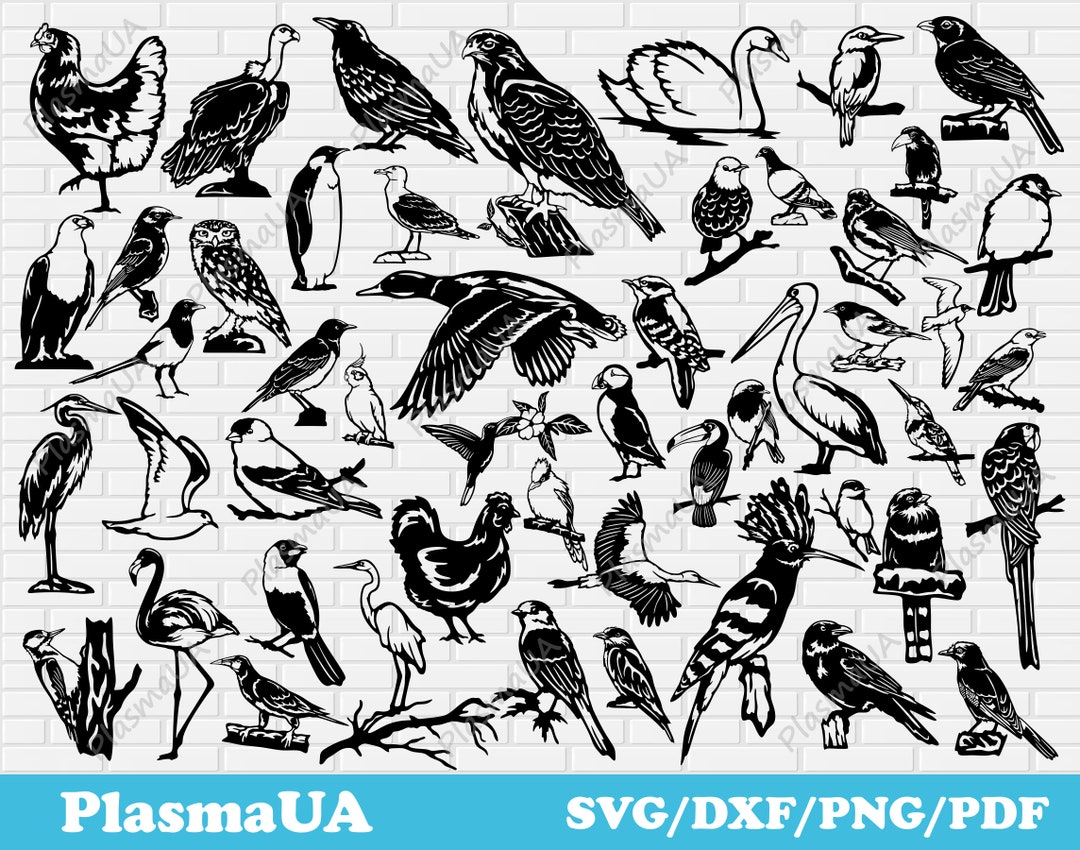 SVG Bundle Cut Files, Birds Dxf for Laser Cut, Birds Svg for Cricut ...
