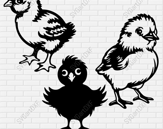 Baby Chick Svg, Chick Silhouette SVG, Vector Cut Files, Sublimation ...