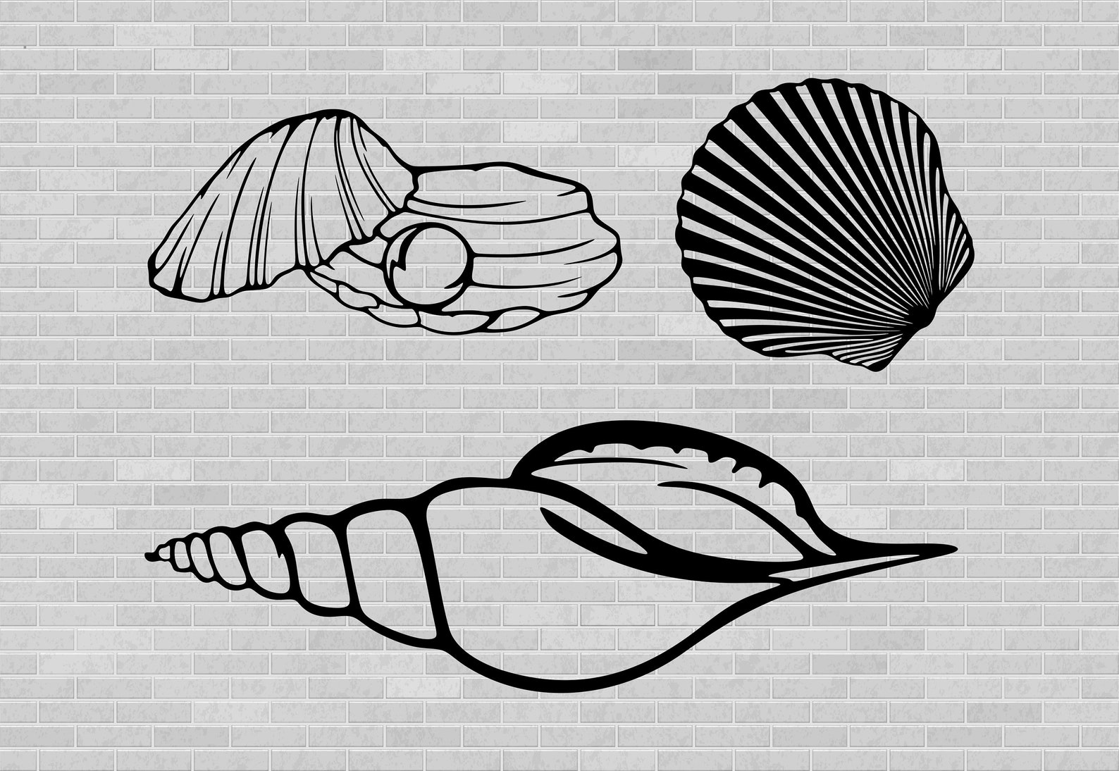 Seashells svg summer svg seashell cut files dxf cut files | Etsy