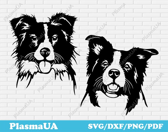 Border Collies Svg for Cricut Pets Portrait Dxf Laser Cut - Etsy