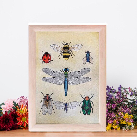 Insects / Bugs Painting illustration print | Etsy