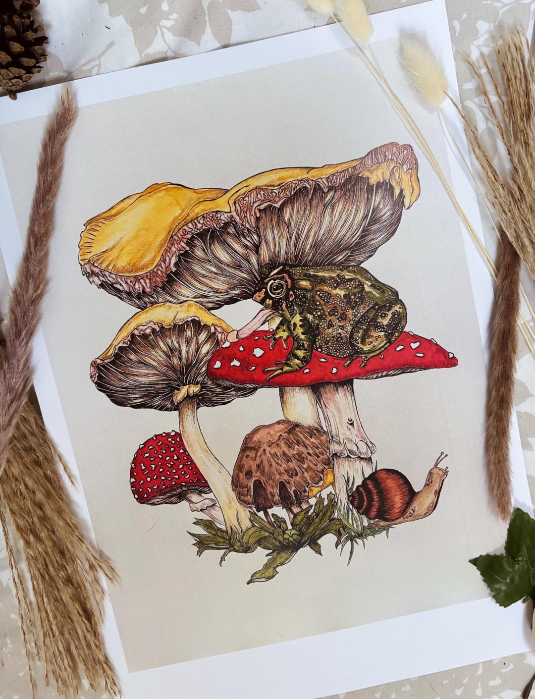 Toad on Toadstool Watercolour Illustration With Other Fungi Mushrooms ...