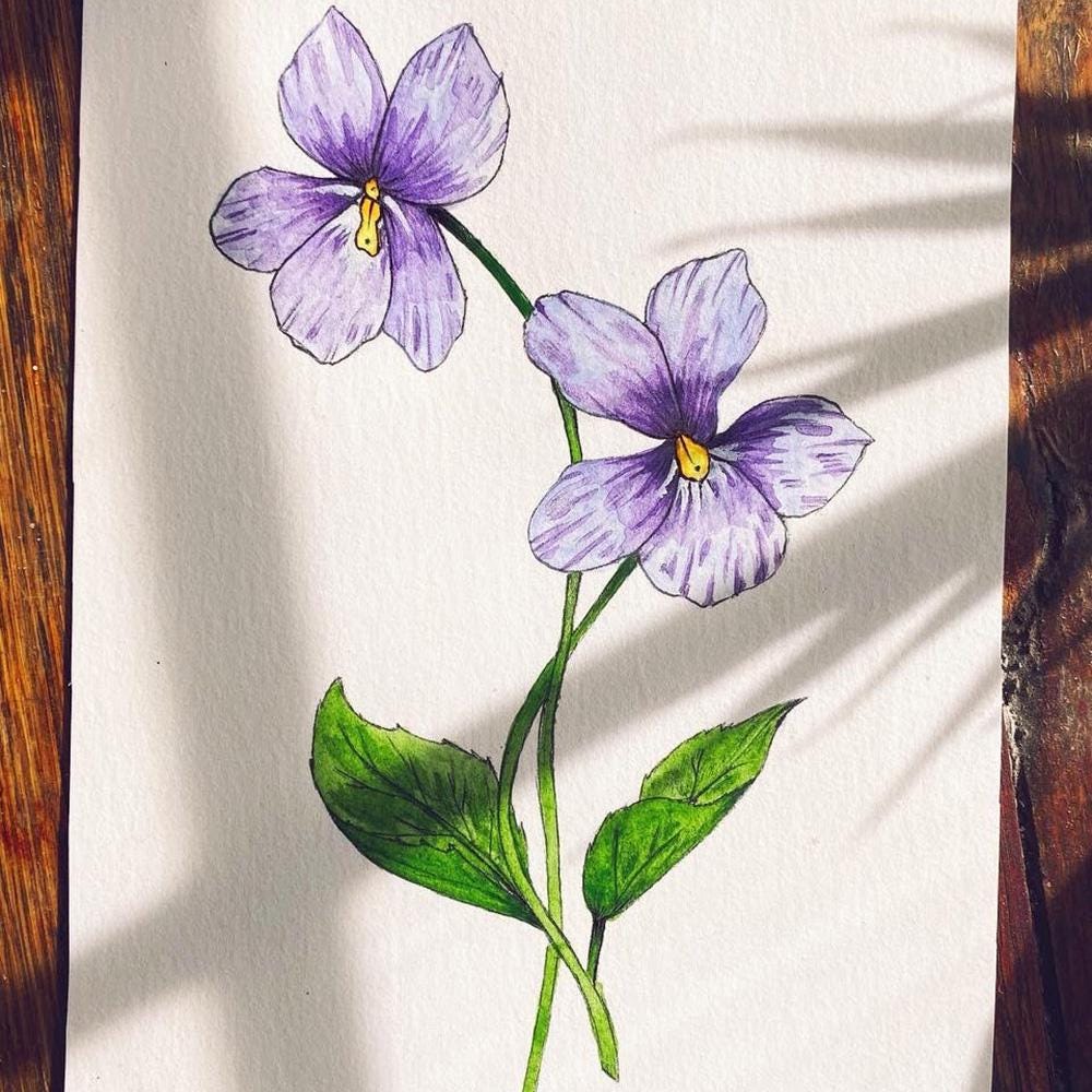 Violets Painting