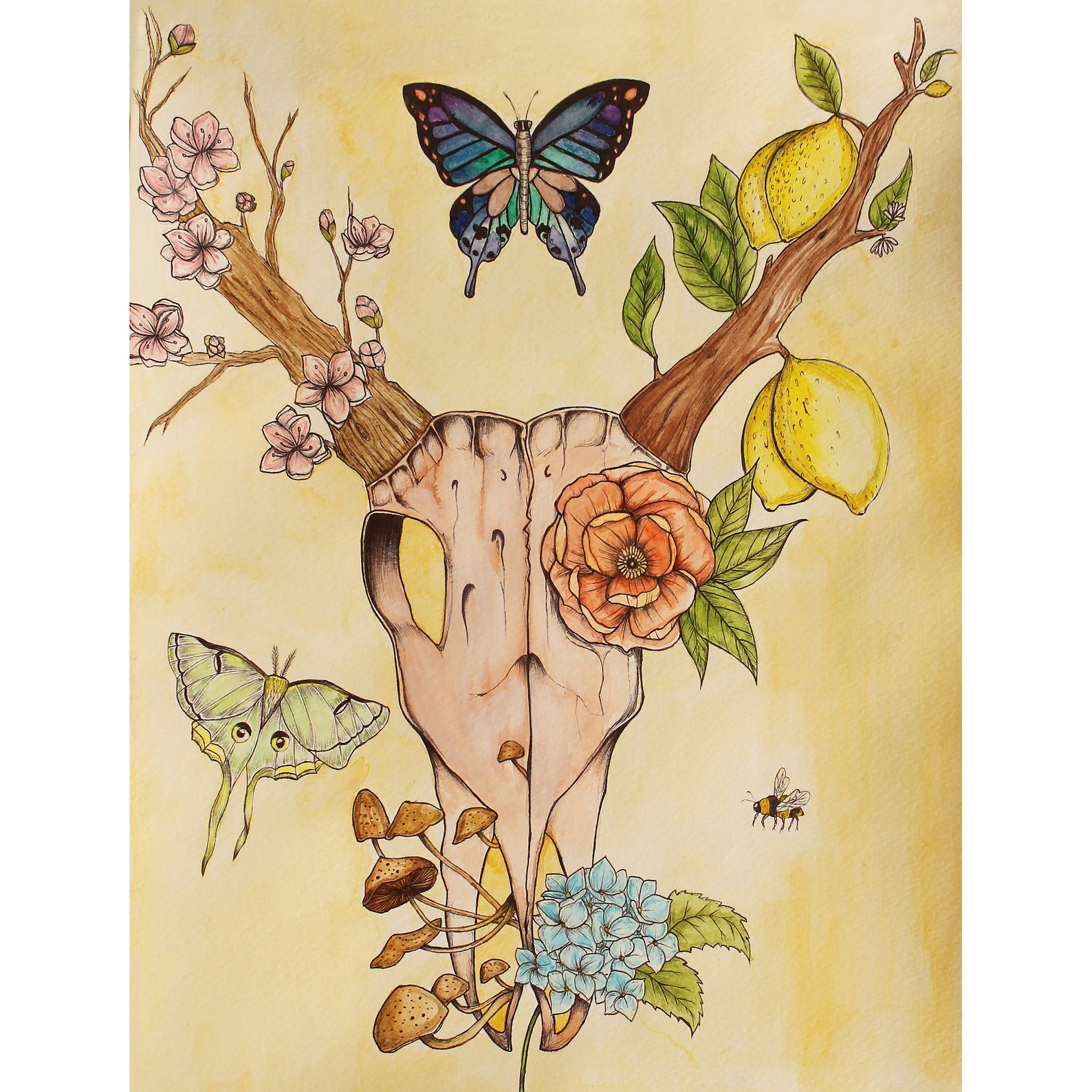 Colourfull Animal Skull Watercolour Painting Illustration With - Etsy