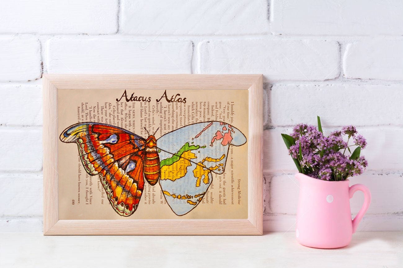 Original Atlas Moth Drawing and Watercolour Map Painting Print - Etsy
