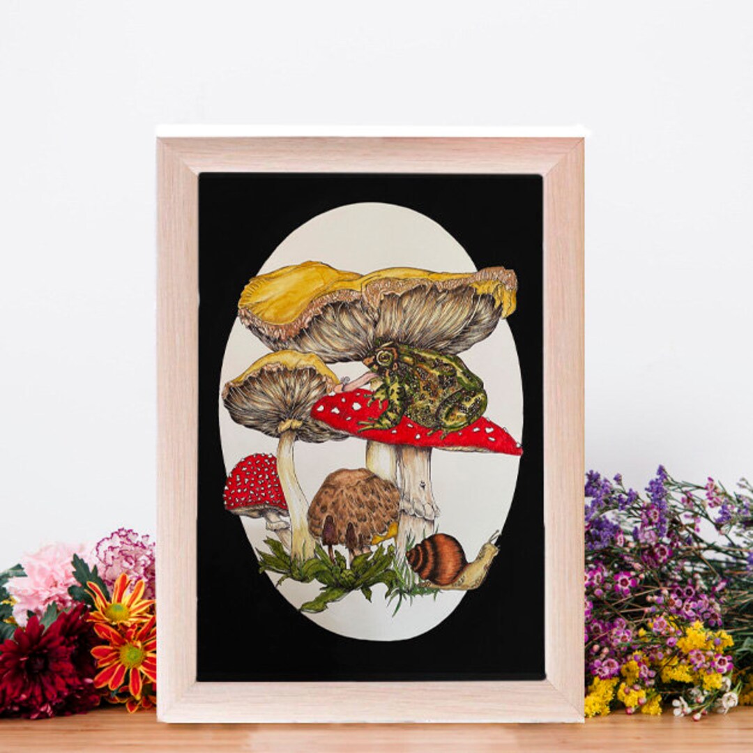 Black Background Toad on Toadstool Watercolour Illustration With Other ...