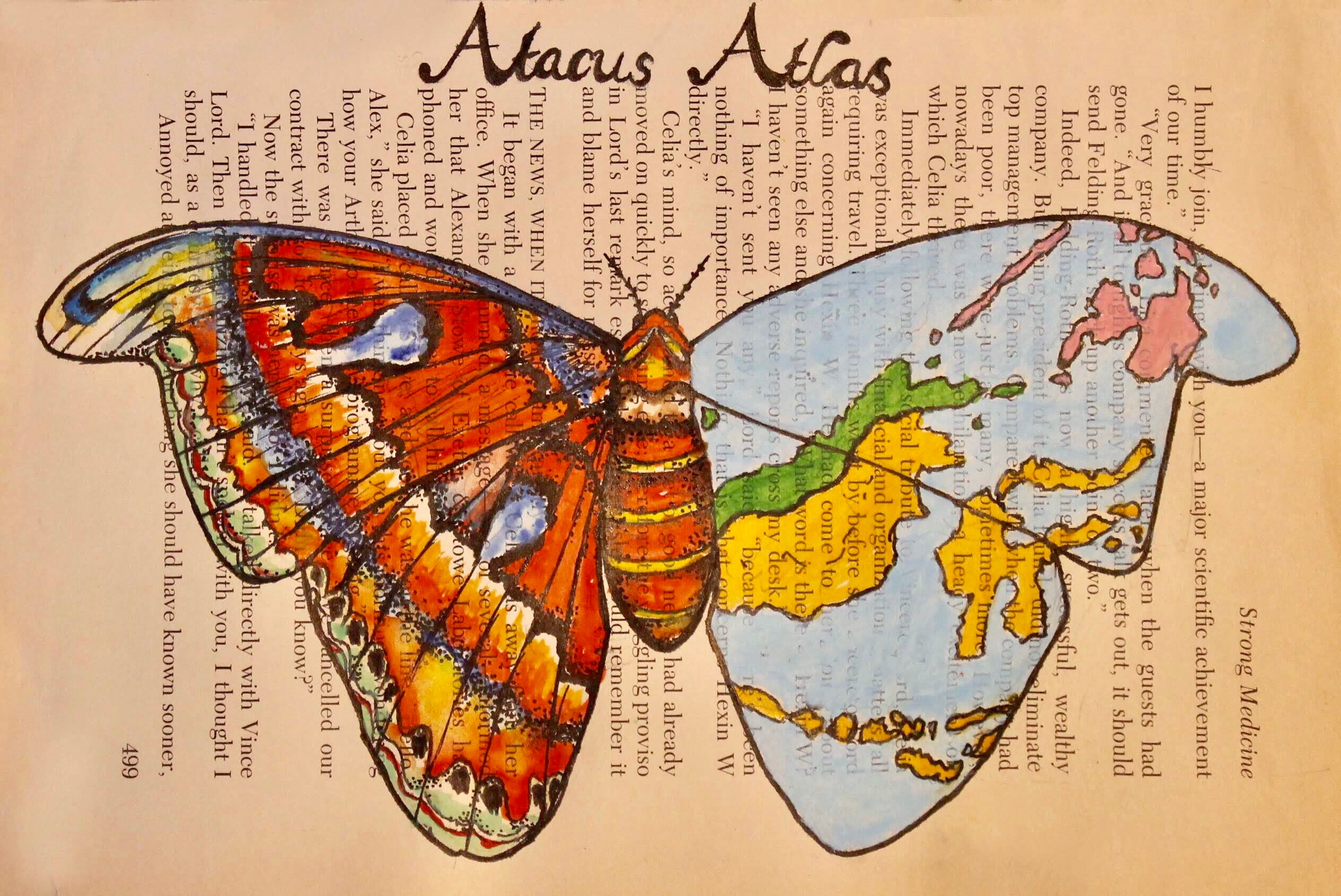 Original Atlas Moth Drawing and Watercolour Map Painting Print - Etsy