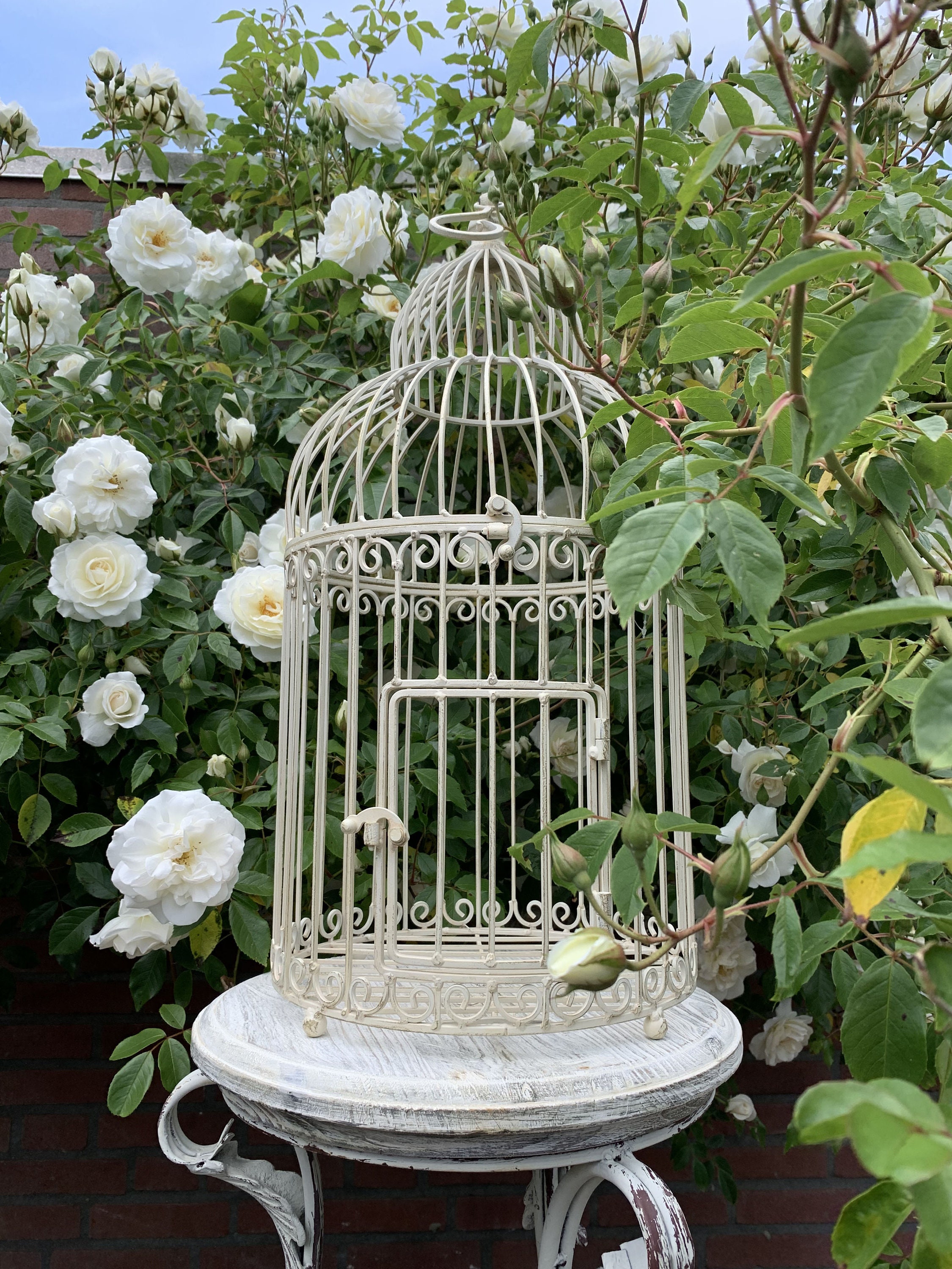 Large Metal Outdoor Birdcage Wrought Iron Bird Cage Home - Etsy