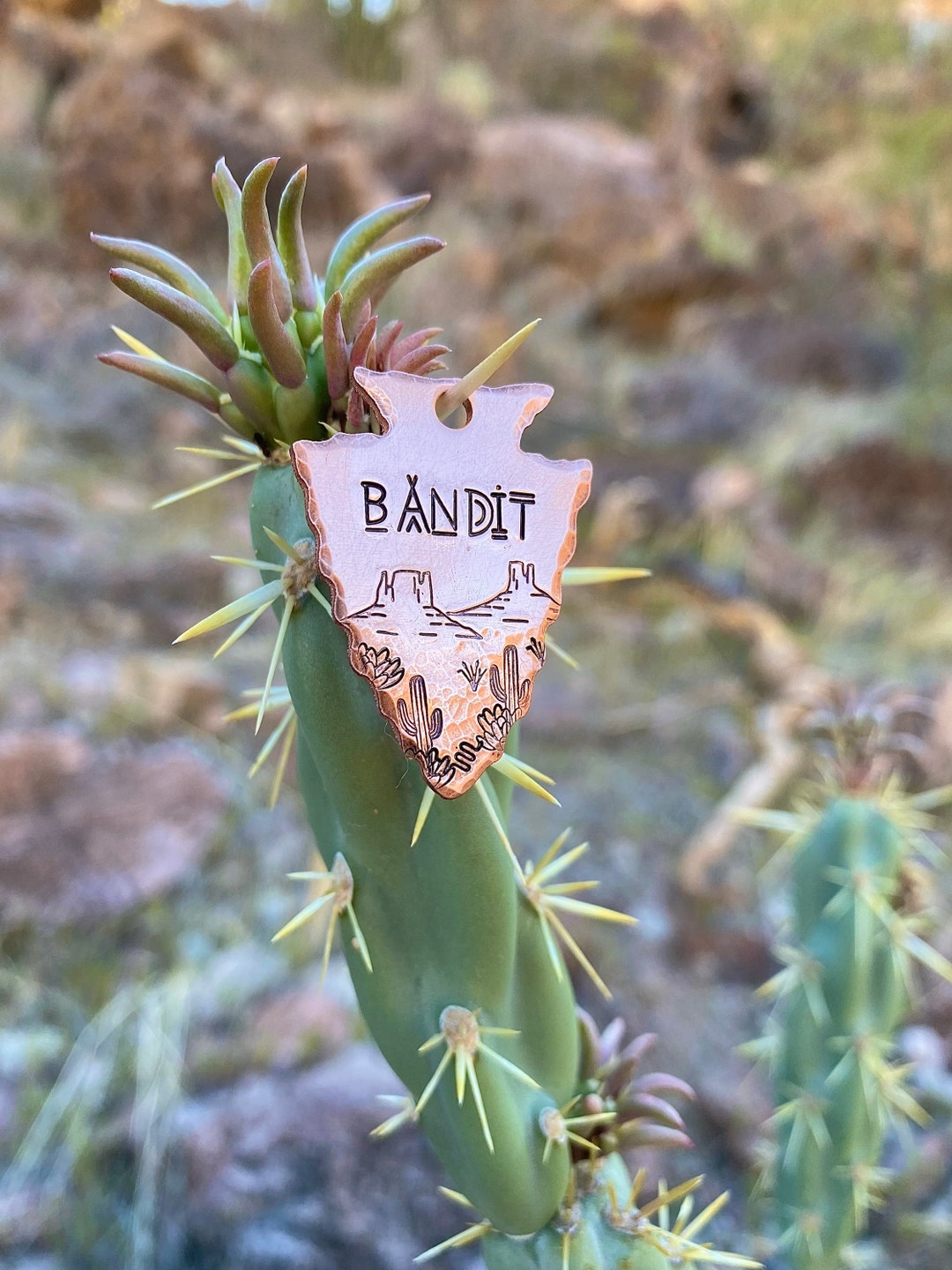 Rustic Dog Tags for Dogs - Desert Red Rocks Arrowhead Tag, Hand Stamped ...