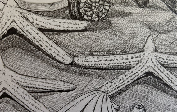 Creatures of the Sea: Original Marking Pen Print - Etsy