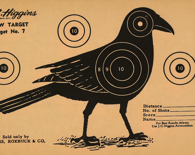 Vintage JC Higgins Sears Roebuck Crow Target No.7 - Download - Etsy