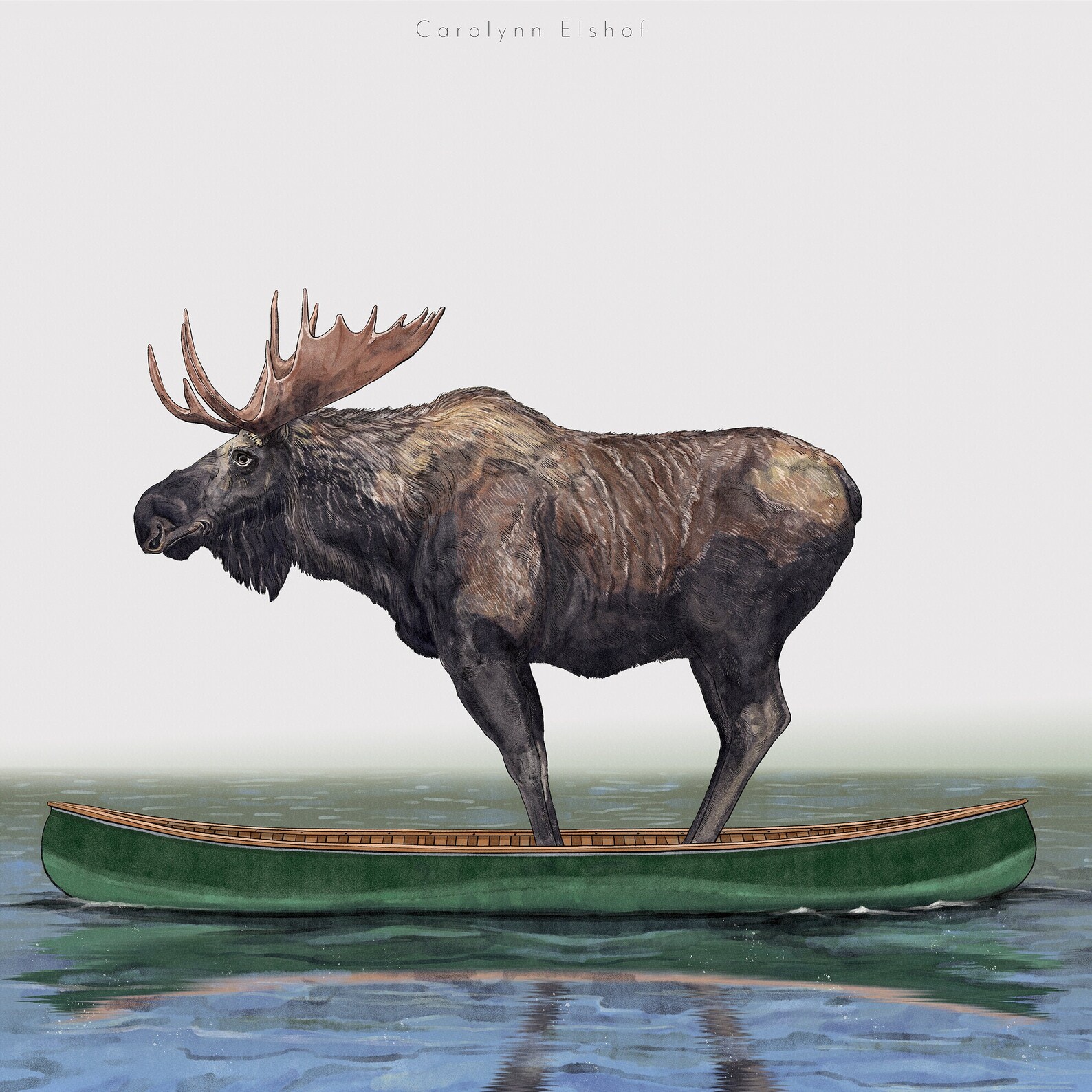 Moose in Canoe 12x12 Print Fine Art Prints Wildlife - Etsy Canada